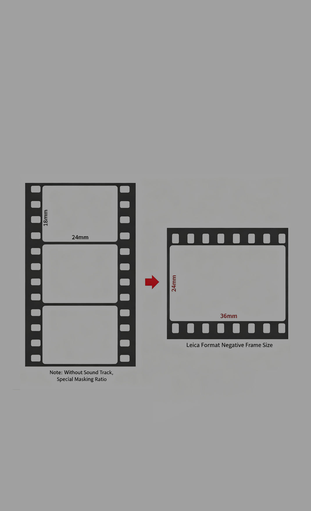 Camera One Inspiration – ARTRA Designs
